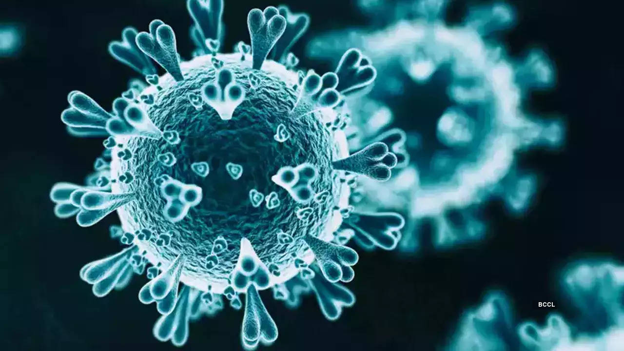What is a viral infection and how to treat it?