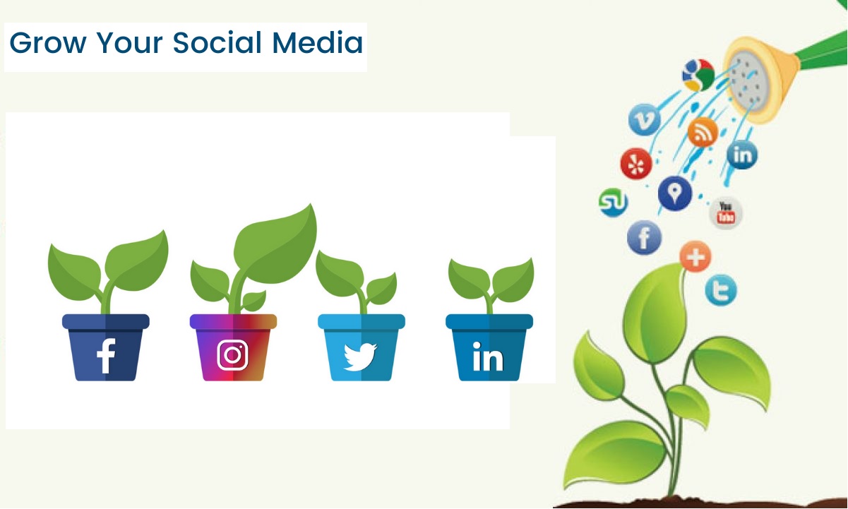 A Step-by-Step Guide to Growing Your Social