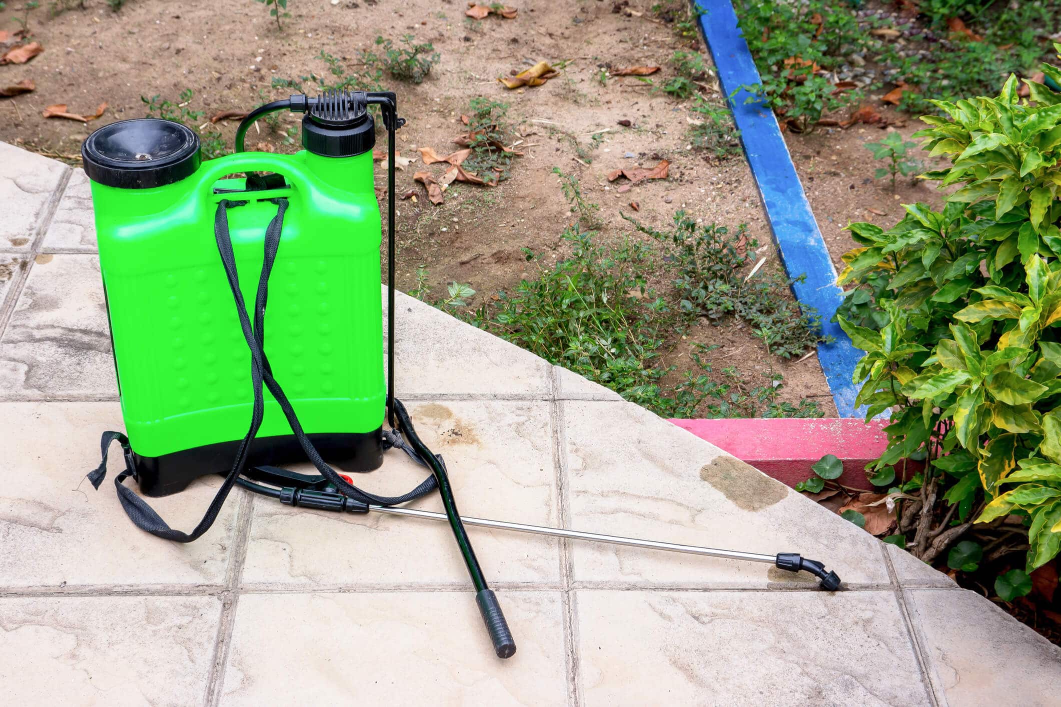 The Dangers of Ignoring Pest Control in Commercial Buildings | Tech ...