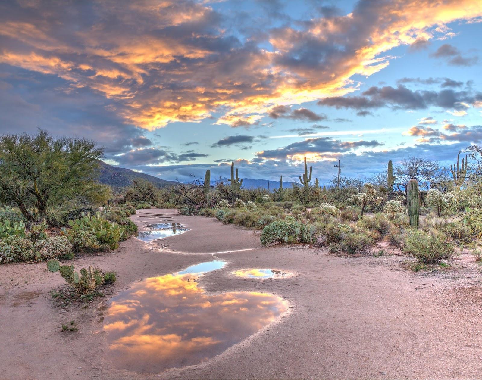 How to Buy, Register, & Insure a Car in Arizona | Tech Magazine