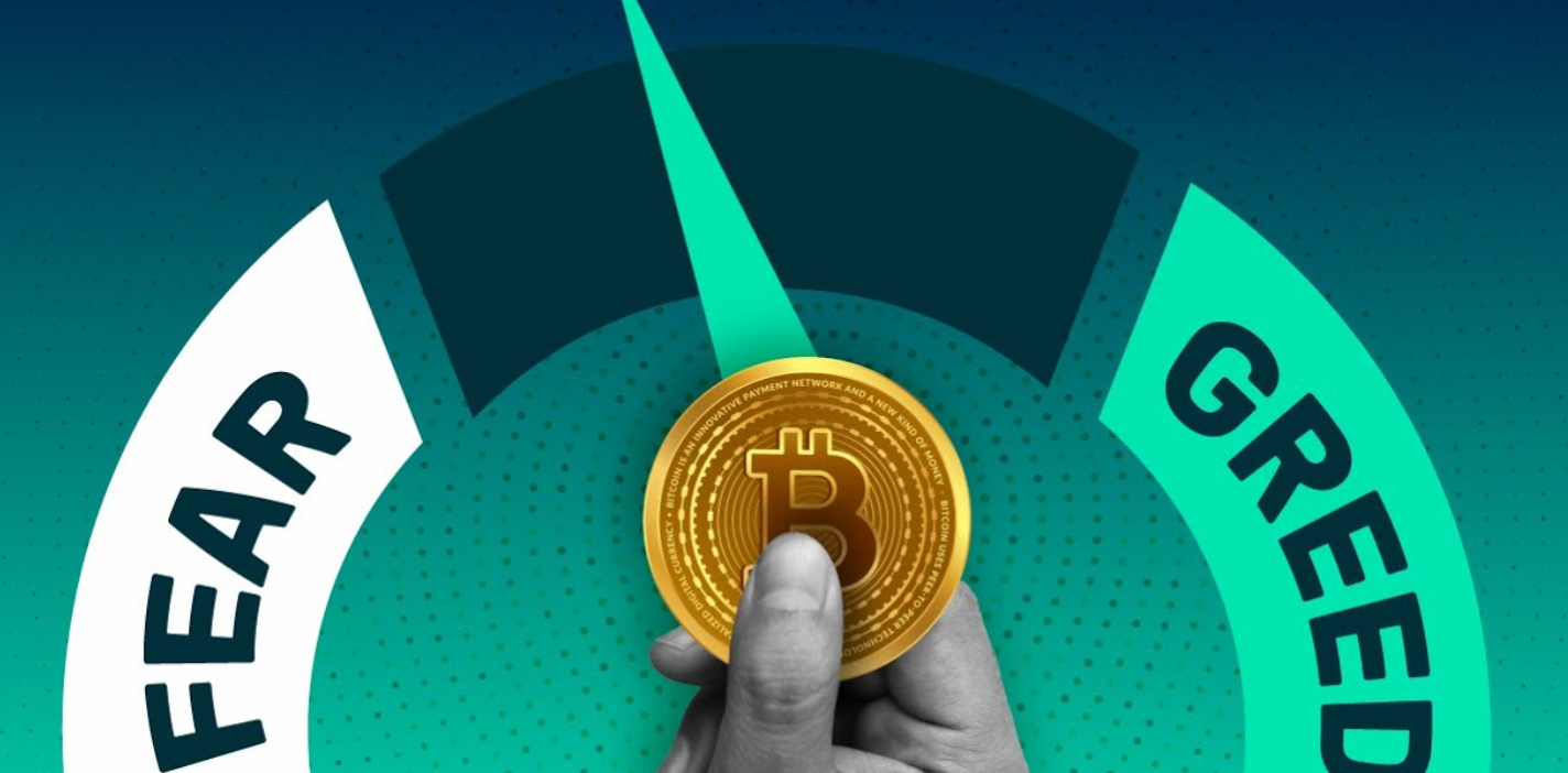 The Role Fear and Greed Index Play During Crypto Investment Selection ...