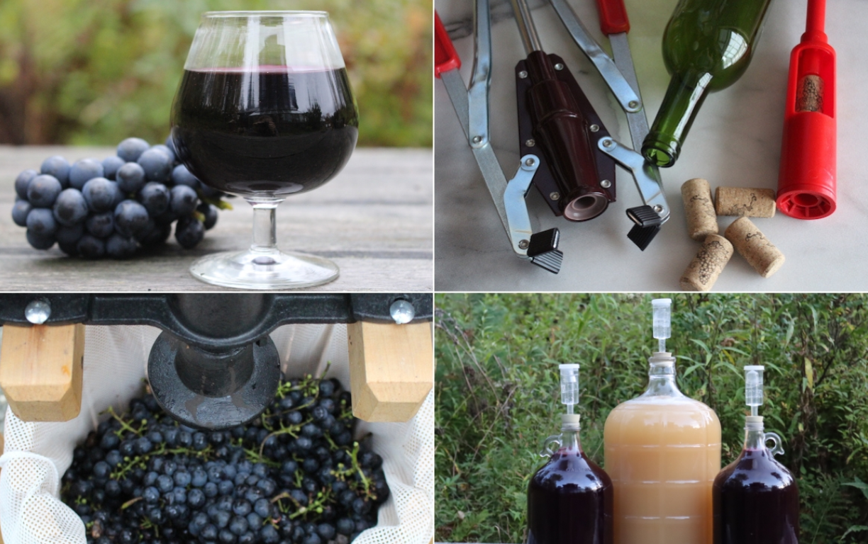 The Essential Guide to Choosing the Right Wine Equipment for Your ...