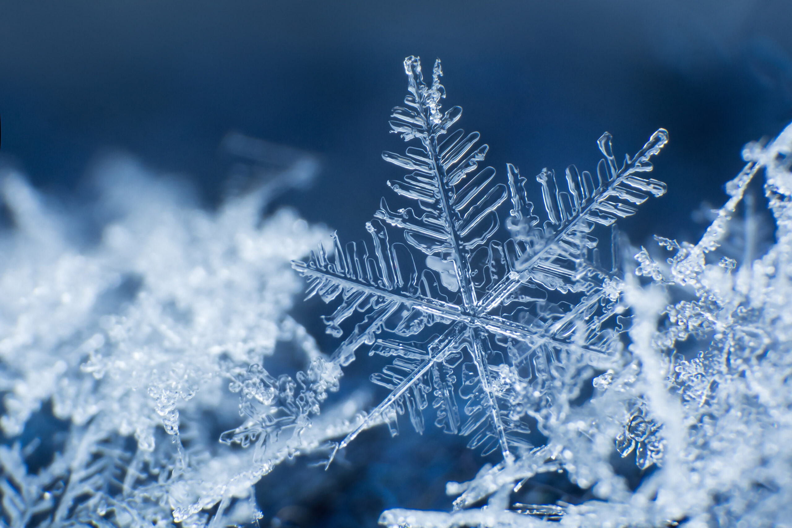 A Quick Overview of Snowflake CDC | Tech Magazine