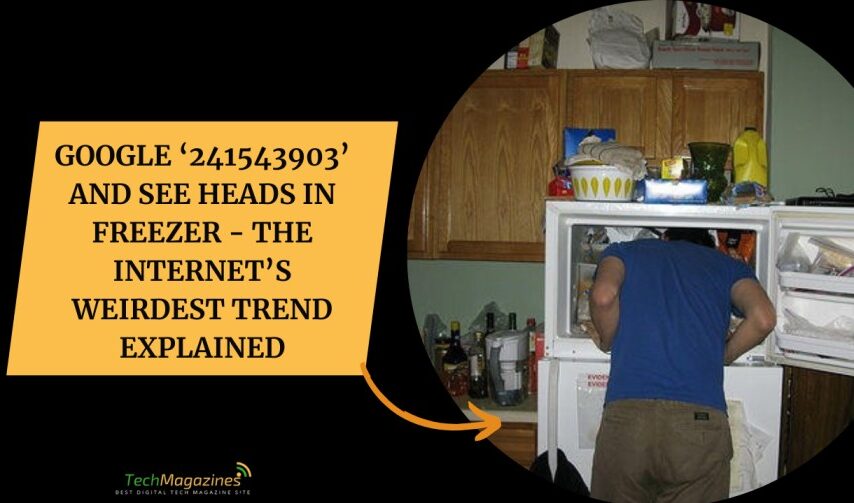 Google ‘241543903’ and See Heads in Freezer - The Internet’s Weirdest ...